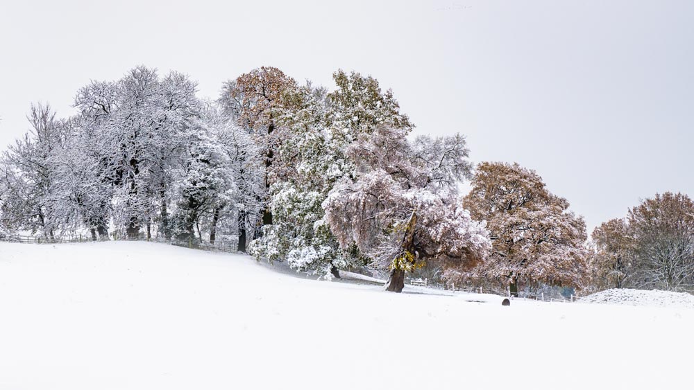 Winter memory – Photos and occasional pomes